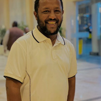 Seifemichael T Kassa - Independent Researcher