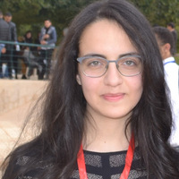 Imane El - Independent Researcher