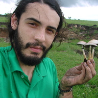 Joshua Falcon's Instagram, Twitter & Facebook on IDCrawl