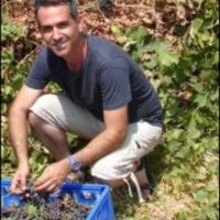 Shivi Drori - Ariel University