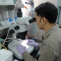 Remil Galay - University of the Philippines Los Baños