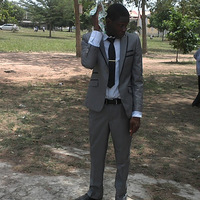 Adekunle Emmanuel - Independent Researcher