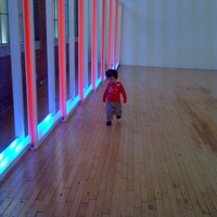 Alison Frazier - The University of Texas at Austin