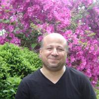 seyed mojtaba zebarjad - Shiraz University