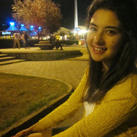 Esin Yılmaz - Yildiz Technical University