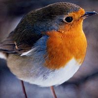 Sandro Grech - Helsinki University of Technology