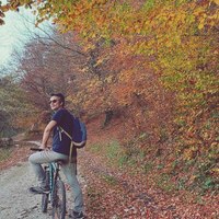 Ferdinando Salemme - Ministero della cultura