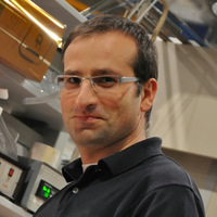 Marco Giorgetti - Università di Bologna