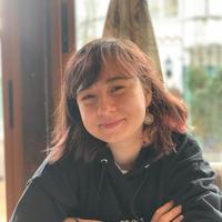 Teodor Sorina - Independent Researcher