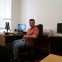 Behrokh Beiranvand - Independent Researcher