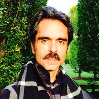 Kyle Bukhari - Independent Researcher