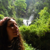 Alice Landi Resume/CV | Università degli Studi "La Sapienza" di Roma ...