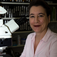 Barbara Eichhorn - Goethe-Universität Frankfurt am Main