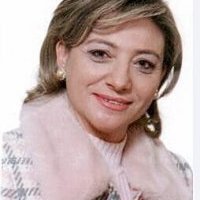 Dina Karam - Independent Researcher