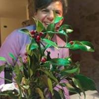 maria concetta parello - Parco Archeologico e Paesaggistico Valle dei ...