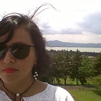 Ana Isabel Moreno Calles - Universidad Nacional Autónoma de México