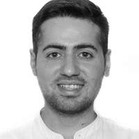 Hamidreza Gholizadeh - Lomonosov Moscow State University