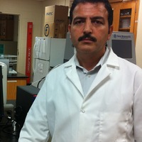 Saeed Hayek | North Carolina Agricultural and Technical State ...
