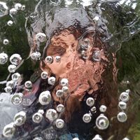 Lisa Ruth Brunner - University of British Columbia