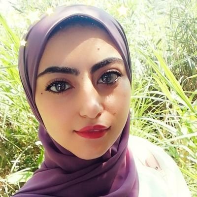 (PDF) العمارة في مصر القديمة لمحمد شكري | Ghady Hakim - Academia.edu