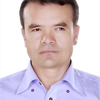 Abduweli Ayup - Independent Researcher