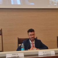 Martino Zulberti - Università degli Studi di Milano - State University ...