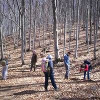 Ross Balzaretti - The University of Nottingham