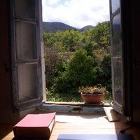 Julia A Assante - Columbia University