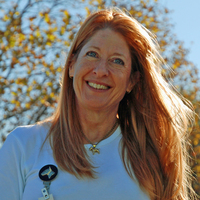 Tracey Butchart | University of the Witwatersrand - Academia.edu