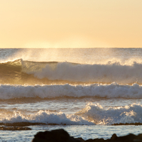 Frances J Neild - The University of Manchester