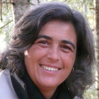 maria joão Freitas Resume/CV | National Laboratory for Civil ...