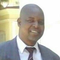 Prof Mdu Ndlovu - University of Johannesburg, South Africa