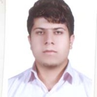 payam salehi - Islamic Azad University, Borujerd Branch