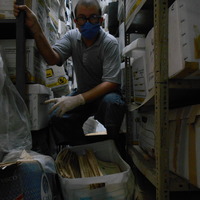 Fernando Soria Soria - Centro de Investigaciones y Estudios Superiores ...