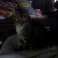 Nicolas Bontá - Universidad Andrés Bello