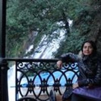 shikha das - Indian Institute of Technology Bombay