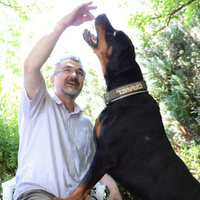 Ioan Roxin - University of Franche-Comte