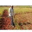 (PDF) SEED SCIENCE AND TECHNOLOGY