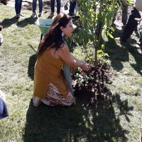 Monserrat Madariaga Gómez de Cuenca - University College London