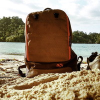 ilyas abdullah - University of Brawijaya