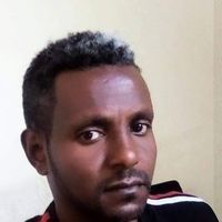 tadesse beyene - Independent Researcher