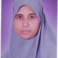 Fatma A Elbony - Higher Technological Institute