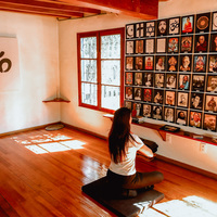 Psic. Priscila Lunguinho - Universidad Anahuac