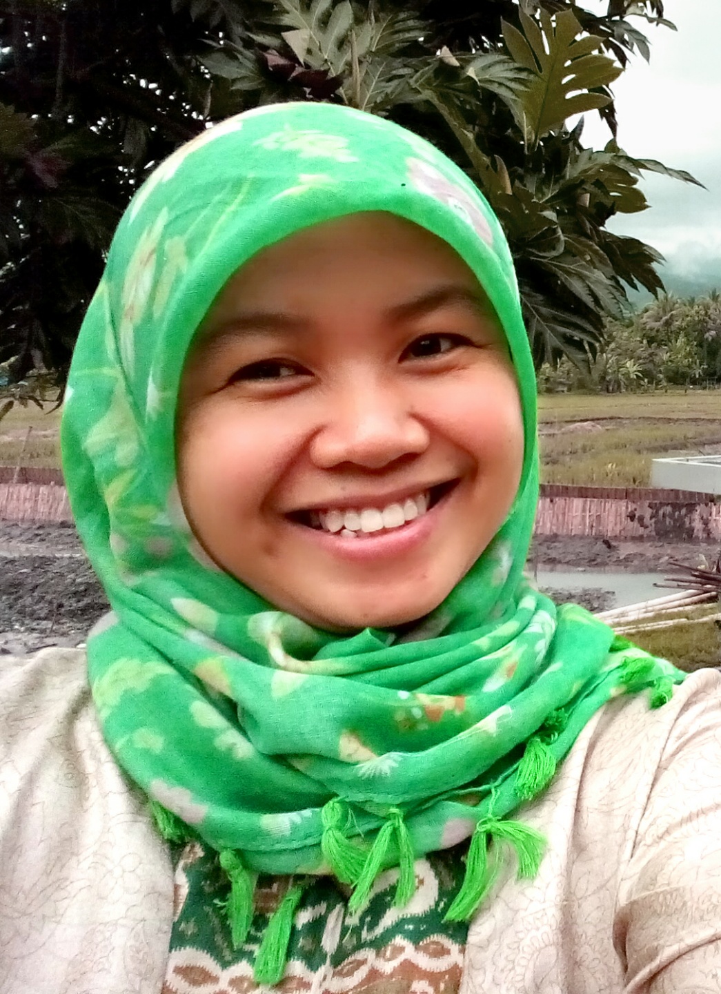 (PDF) Reading Indonesian and Malaysian Young Adult Novels: Capturing ...