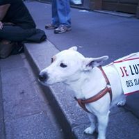 Jun Fujita Hirose - Academia.edu