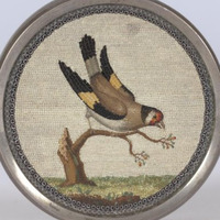 Ekaterina А . Yakovleva - The State Hermitage Museum