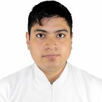 Walter Cerna Quevedo - Independent Researcher