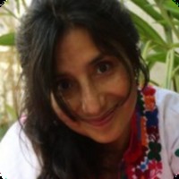 Angela Barrios Olivares - Independent Researcher