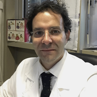 Mario Vetrano - Università degli Studi "La Sapienza" di Roma