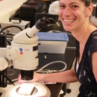 Jessica (Allen) Linderman - Stanford University